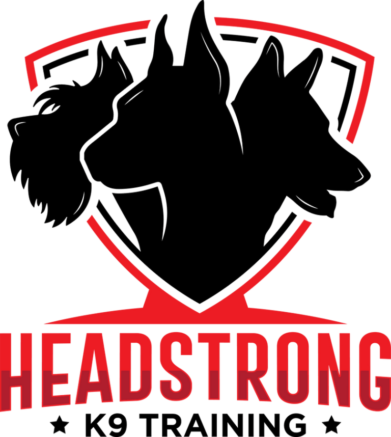 About Us - Headstrong K9 Training